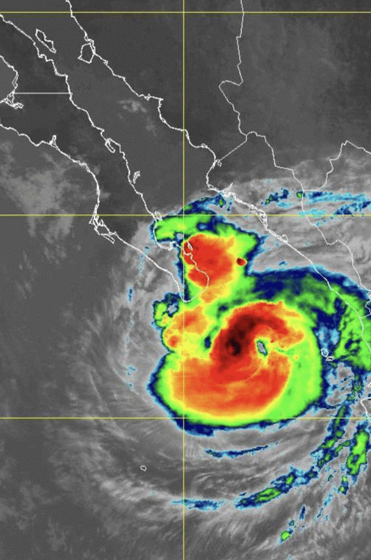 May 22nd - La Paz Fishing Report - Baja Fishing Report - BACo.